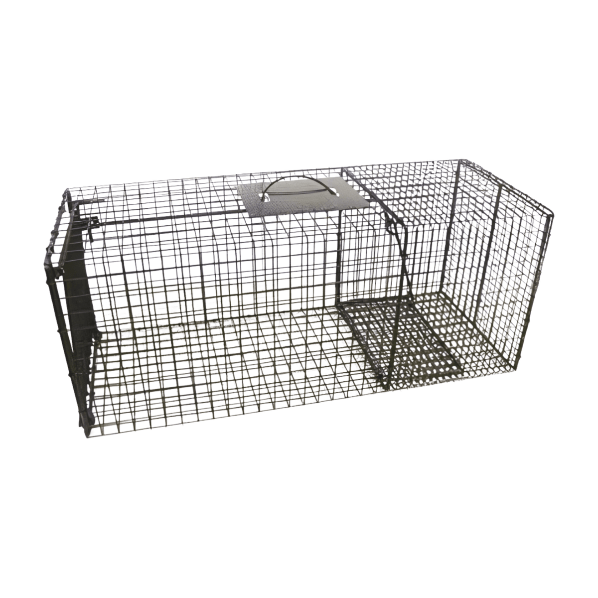 Bobcat Cage Trap – Minnesota Trapline Products