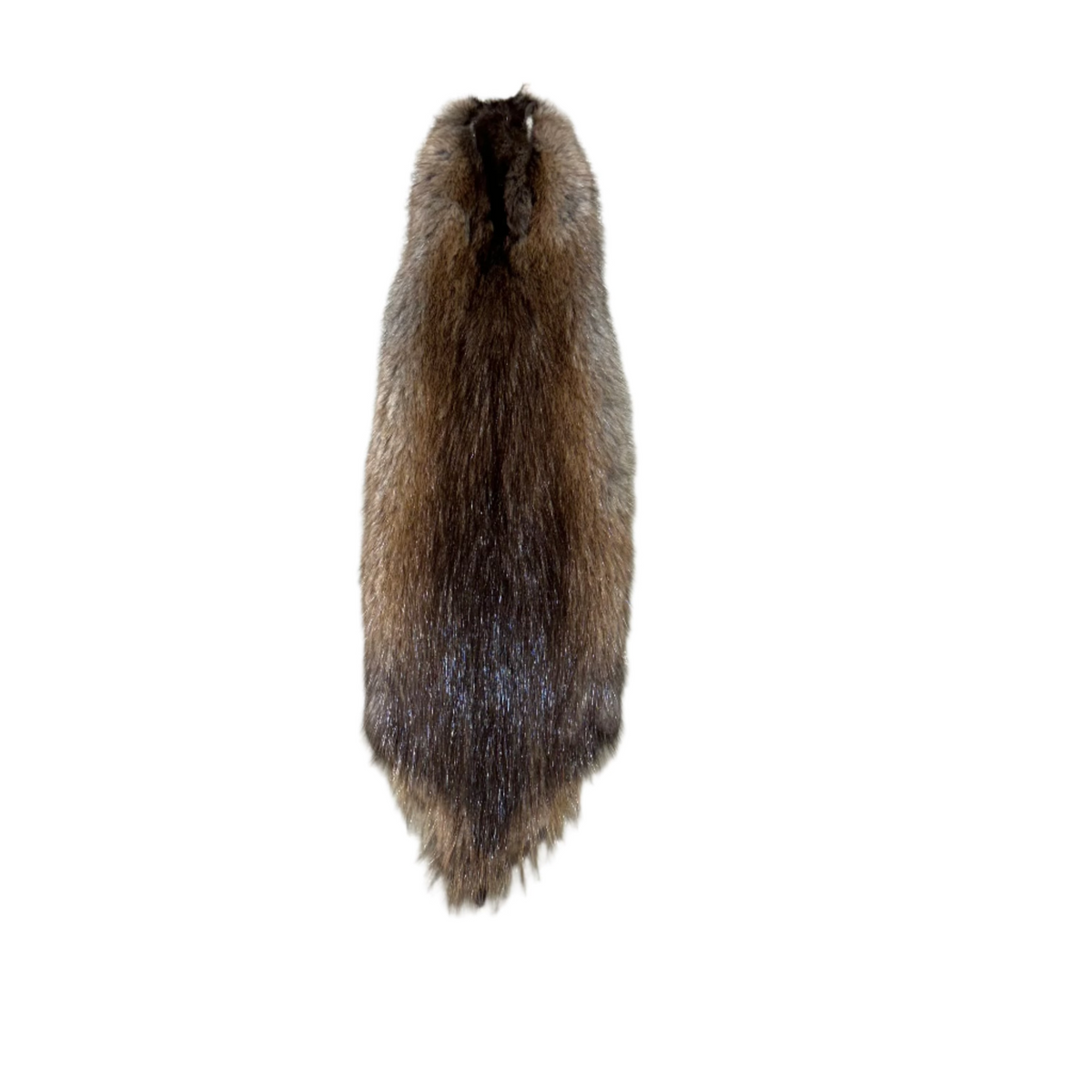 Muskrat - Professionally Tanned Pelt – Minnesota Trapline Products