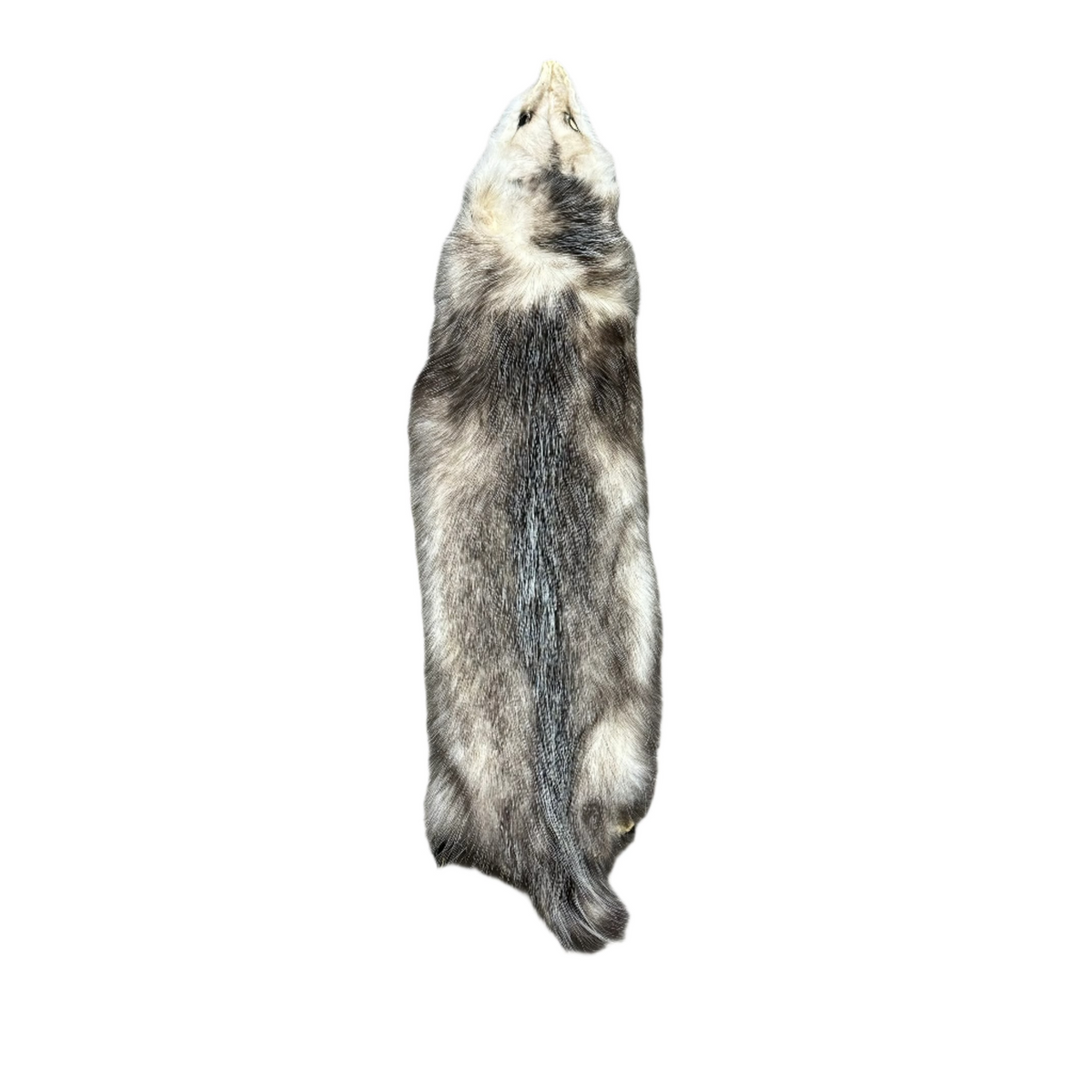 Opossum - Professionally Tanned Pelt – Minnesota Trapline Products