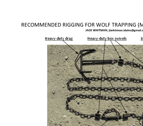 Wolf Drag Setup - Jack Whitman – Minnesota Trapline Products