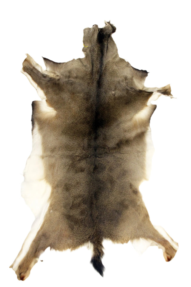 Whitetail Deer Hide - Professionally Tanned – Minnesota Trapline Products
