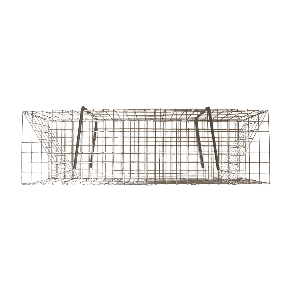 Folding Colony Muskrat Trap - 6x6x24 – Minnesota Trapline Products